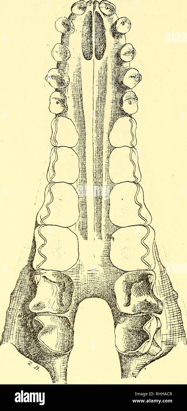 Palais de cordoba hi-res stock photography and images - Alamy
