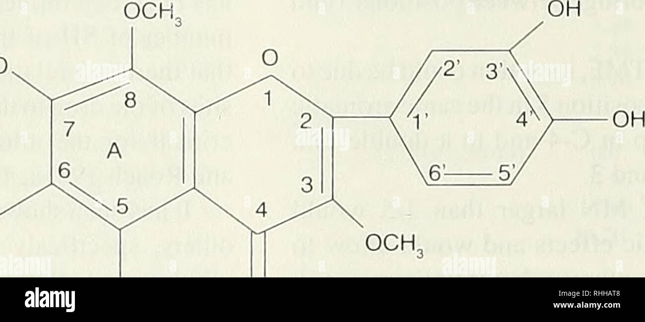 Clastogenic hi-res stock photography and images - Alamy