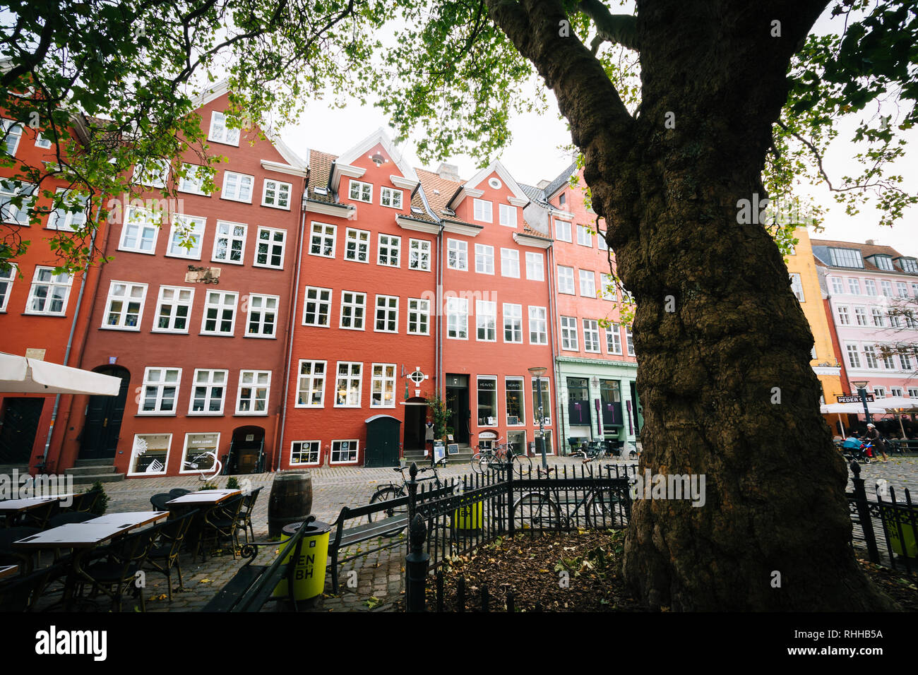 Tree and red buildings in Copenhagen, Denmark Stock Photo - Alamy