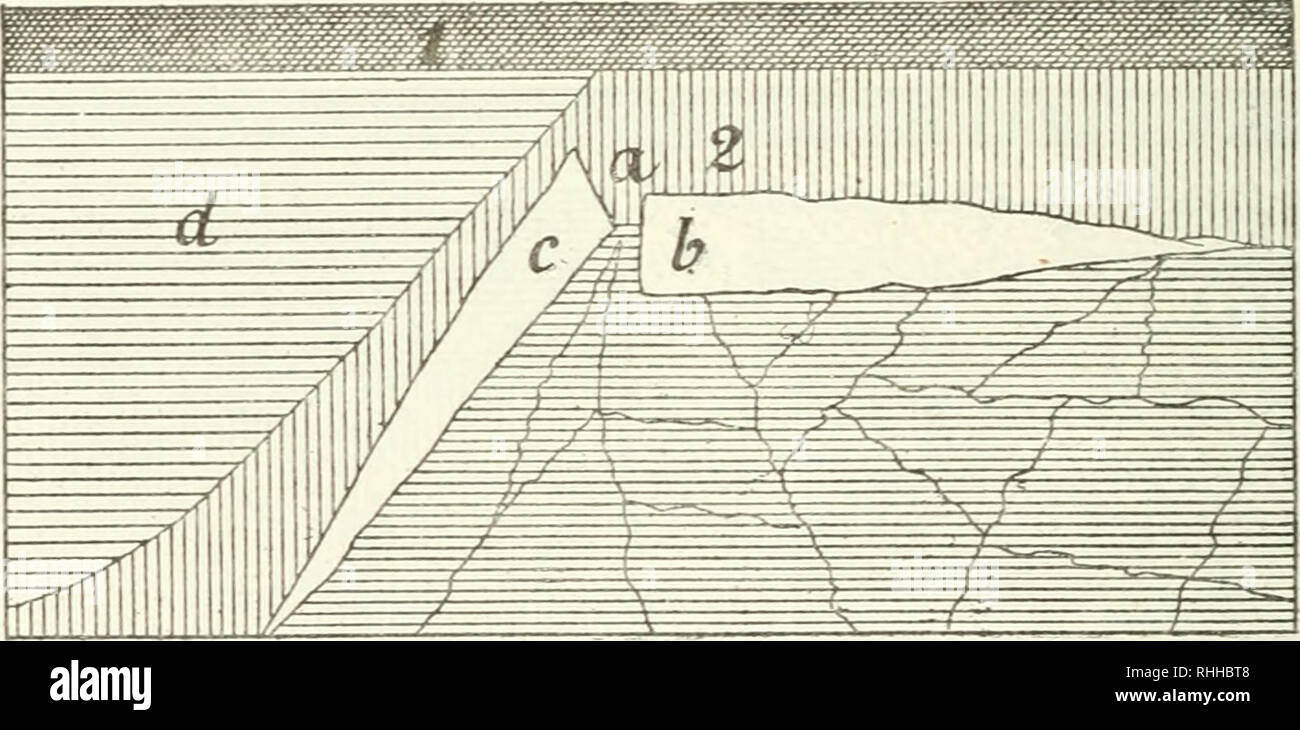 Arena de relleno hi-res stock photography and images - Alamy