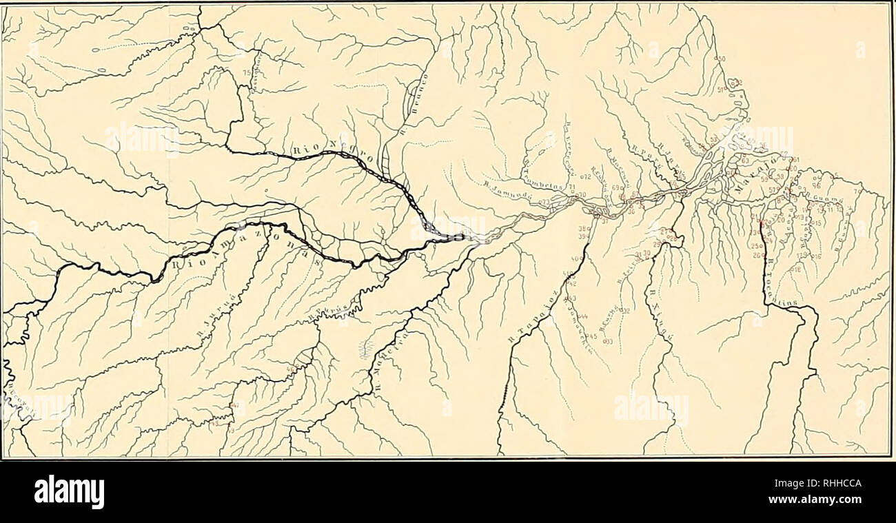 Guami hi-res stock photography and images - Alamy