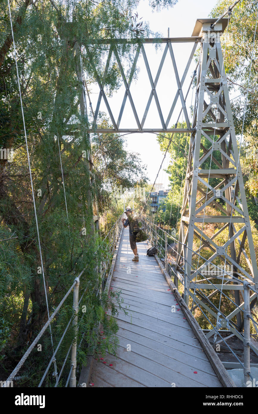 Man carrying birdcage as a backpack on Spruce Street Suspension ...