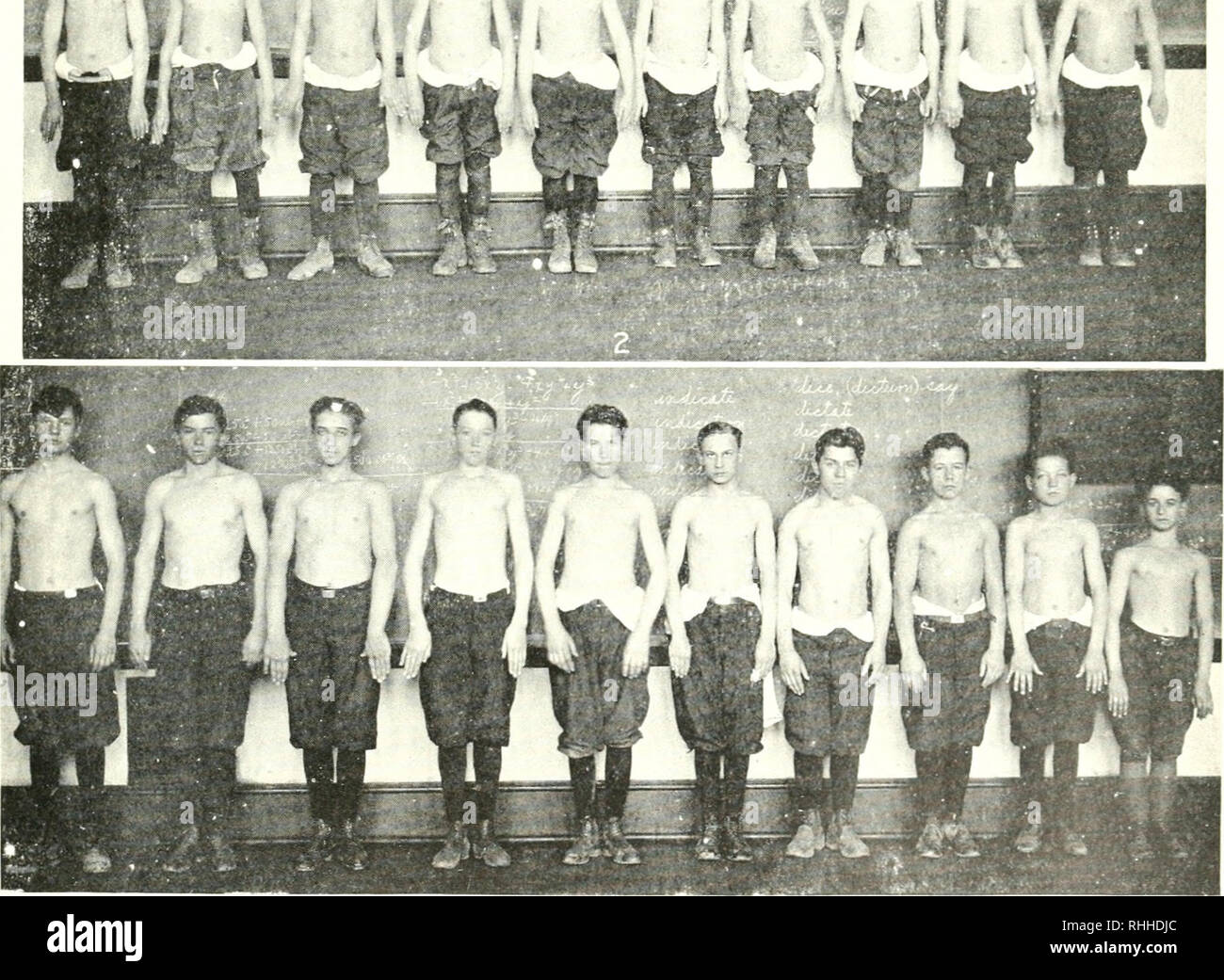 Chest girth hi-res stock photography and images - Alamy