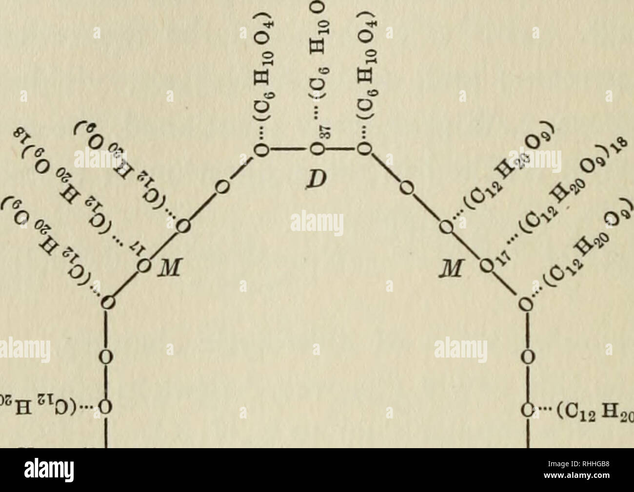 H20 molecule hi-res stock photography and images - Alamy