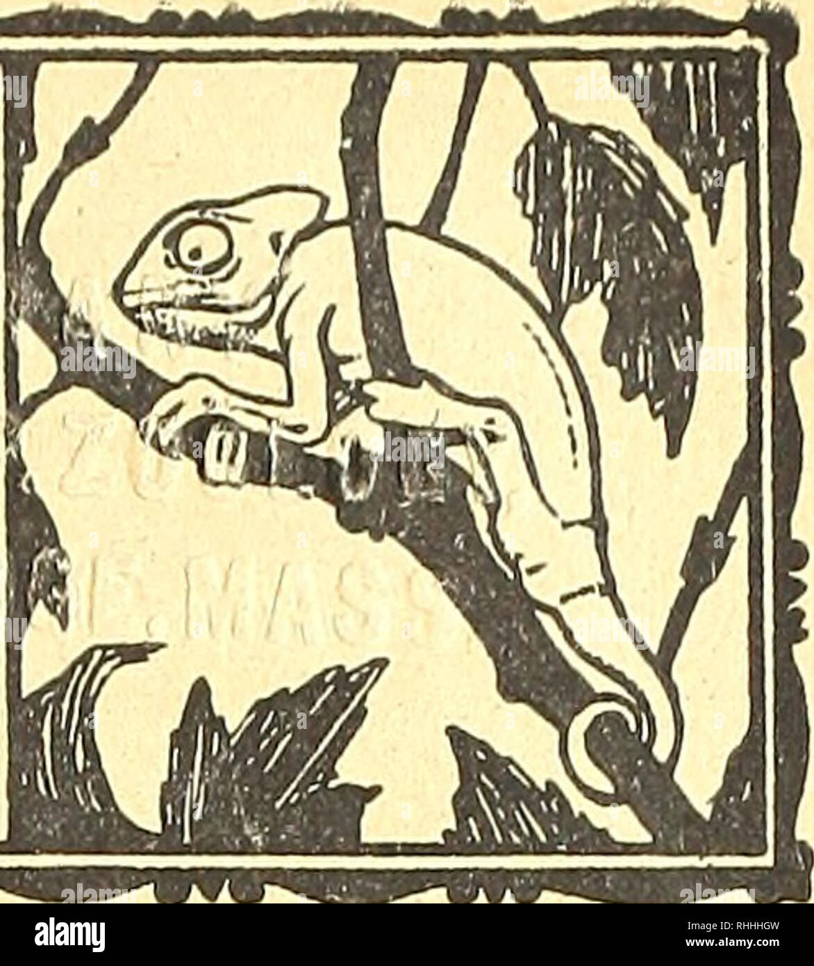 Bepflanzten hi-res stock photography and images - Alamy