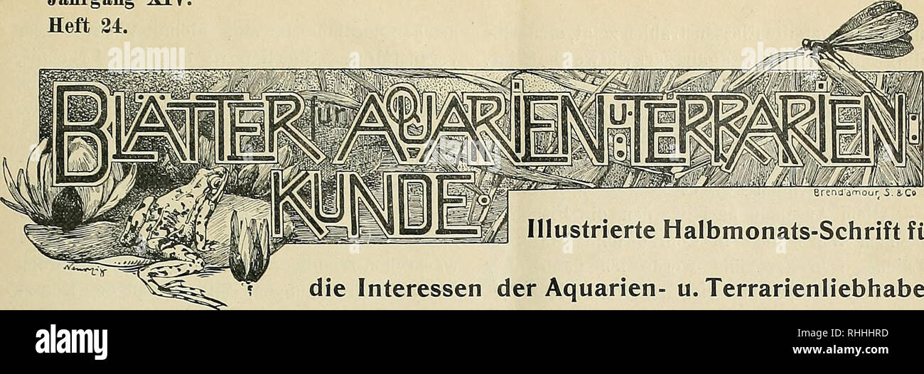 Die verschiedenen farben hi-res stock photography and images - Alamy