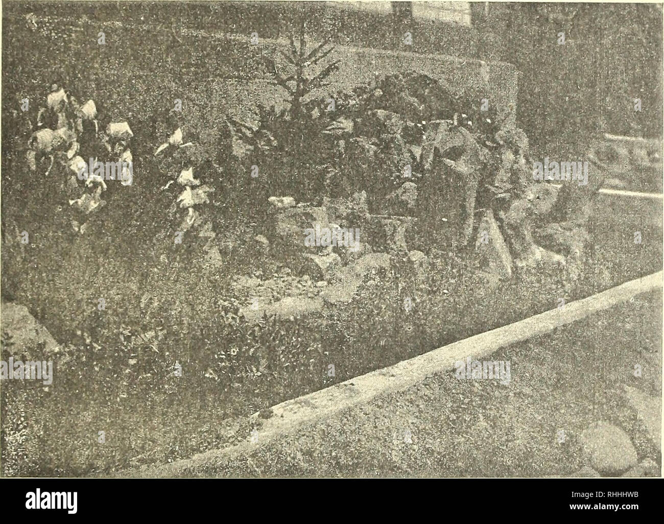 Eine aea hi-res stock photography and images - Alamy