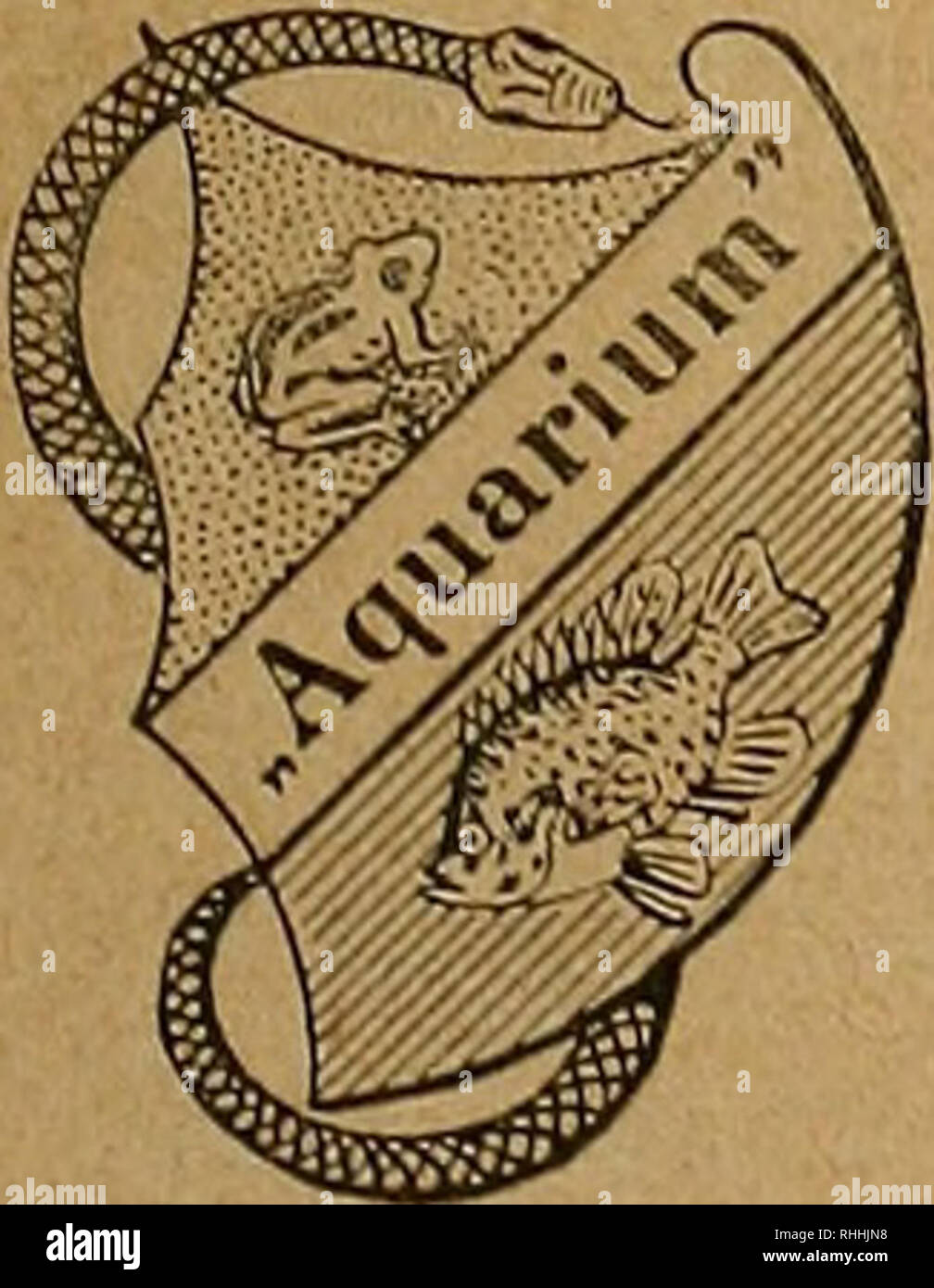 Motten sammlung hi-res stock photography and images - Alamy