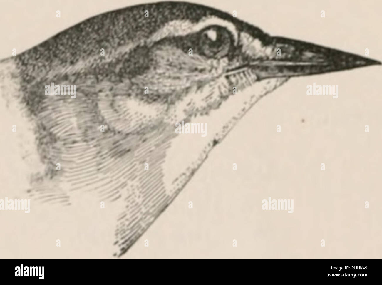 Hi Mack High Resolution Stock Photography and Images - Alamy