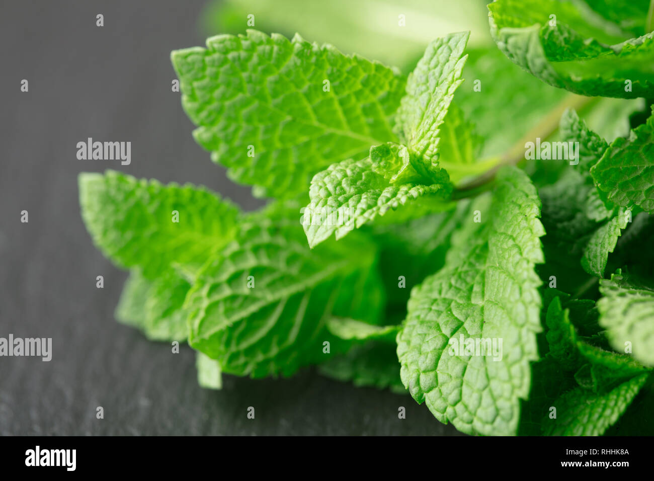 Cocktail mint leaves hi-res stock photography and images - Alamy