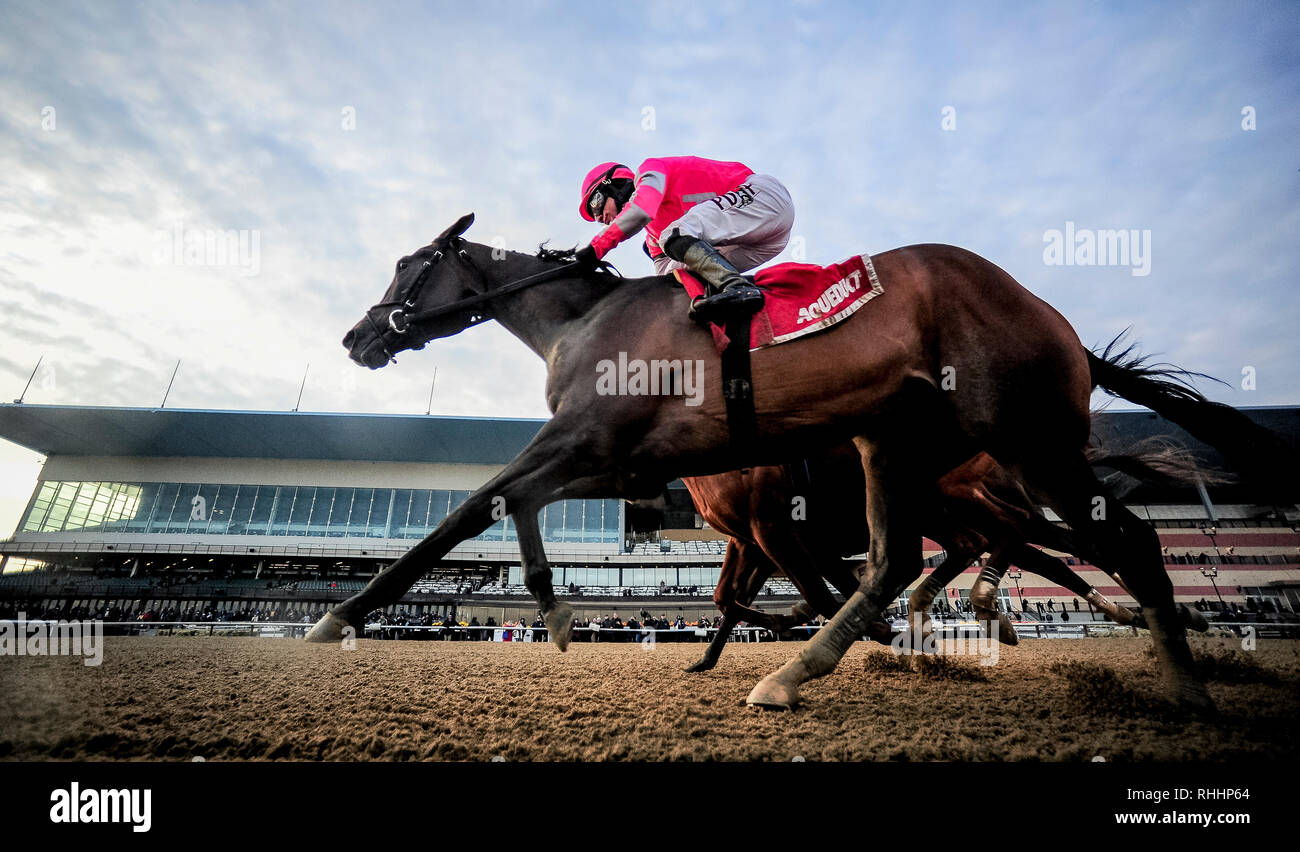 Aqueduct race track hi-res stock photography and images - Alamy