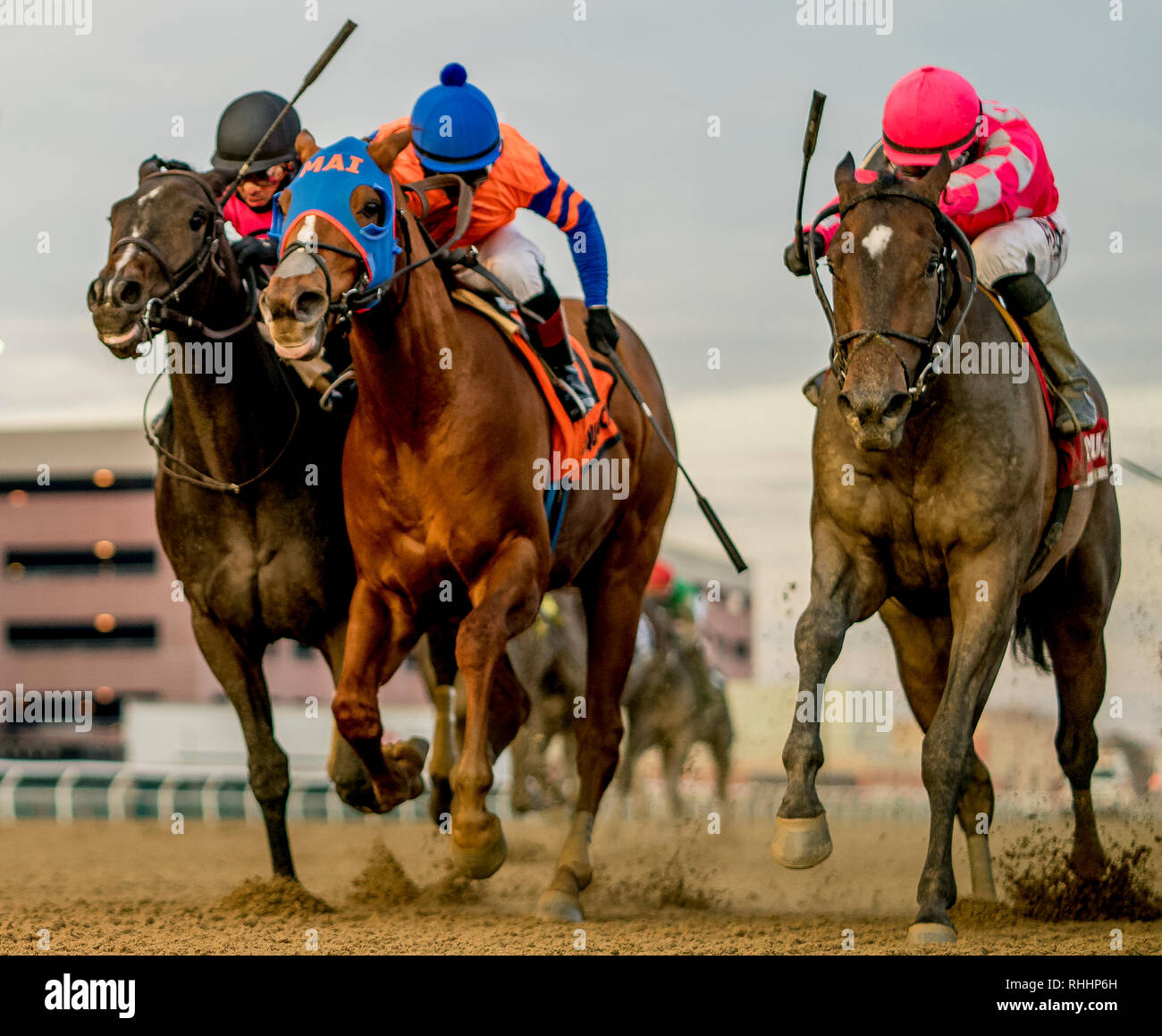 Aqueduct Racetrack Logo