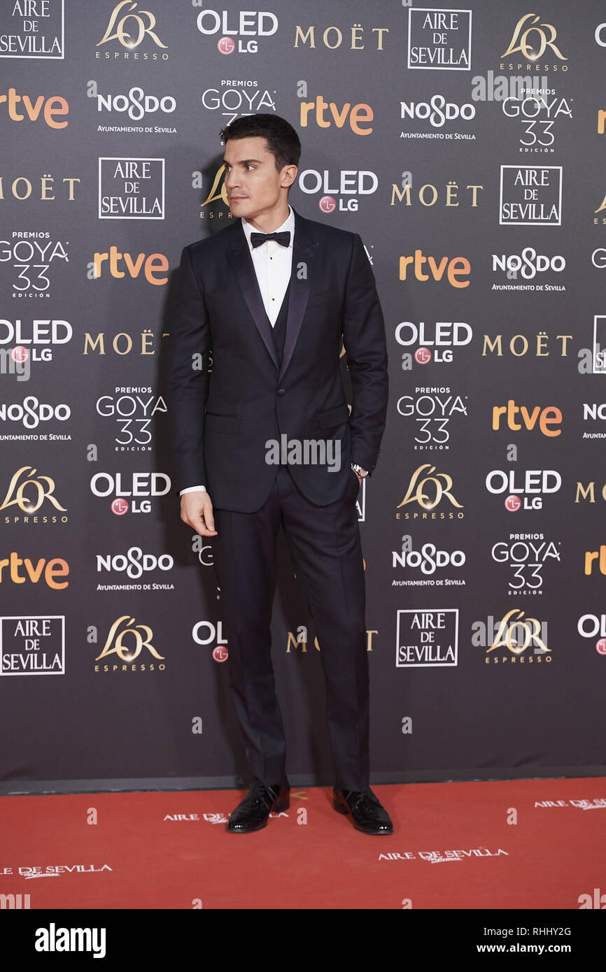 Sevilla, Andalucia, Spain. 2nd Feb, 2019. Alex Gonzalez attends 33rd ...