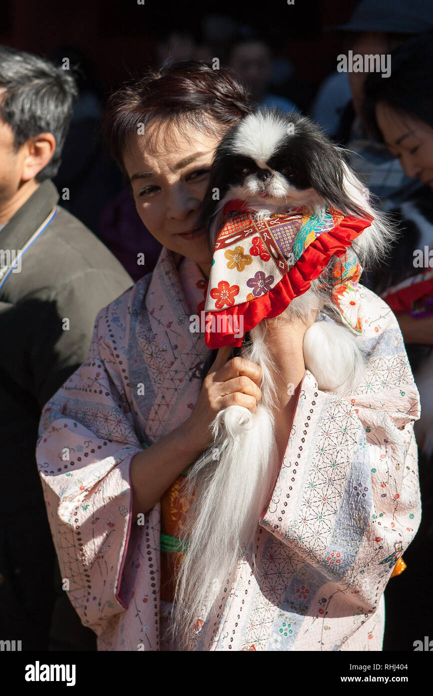 Mamemaki High Resolution Stock Photography and Images - Alamy