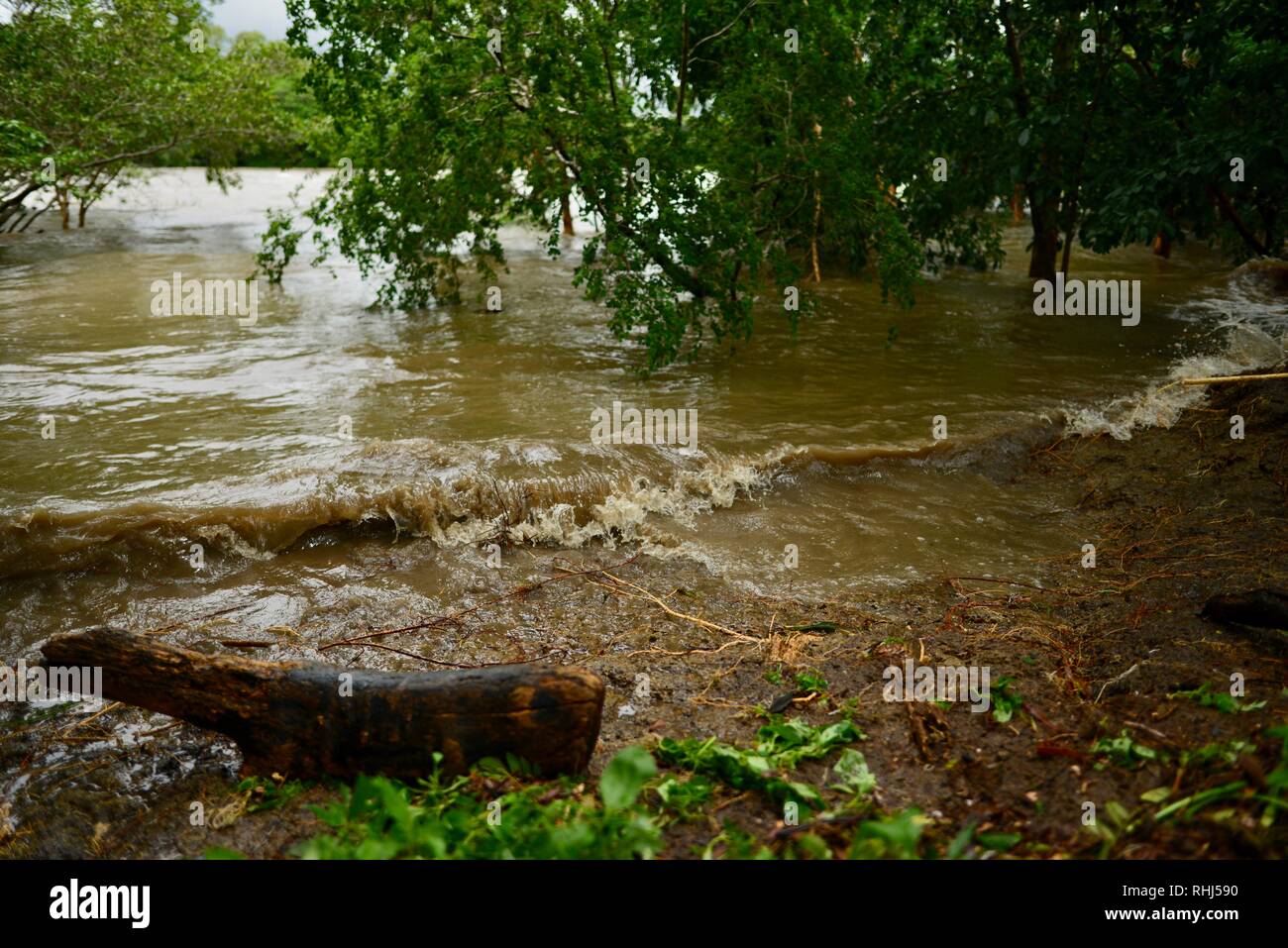 Ross river eroding the banks as flood water rage, Queensland, Australia ...