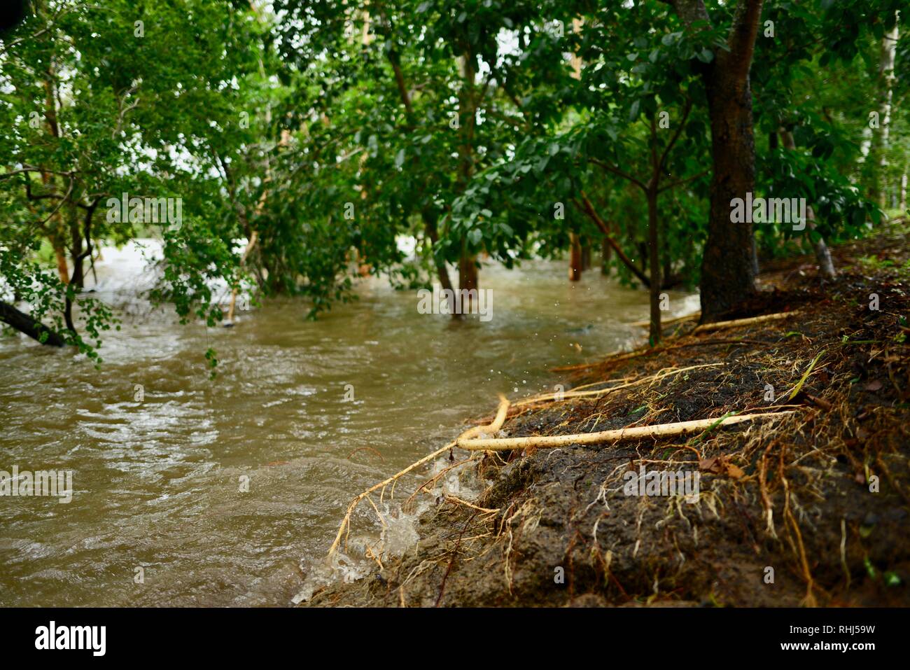 Queensland, Australia. 3 February 2019. Flooding continued to worsen as ...