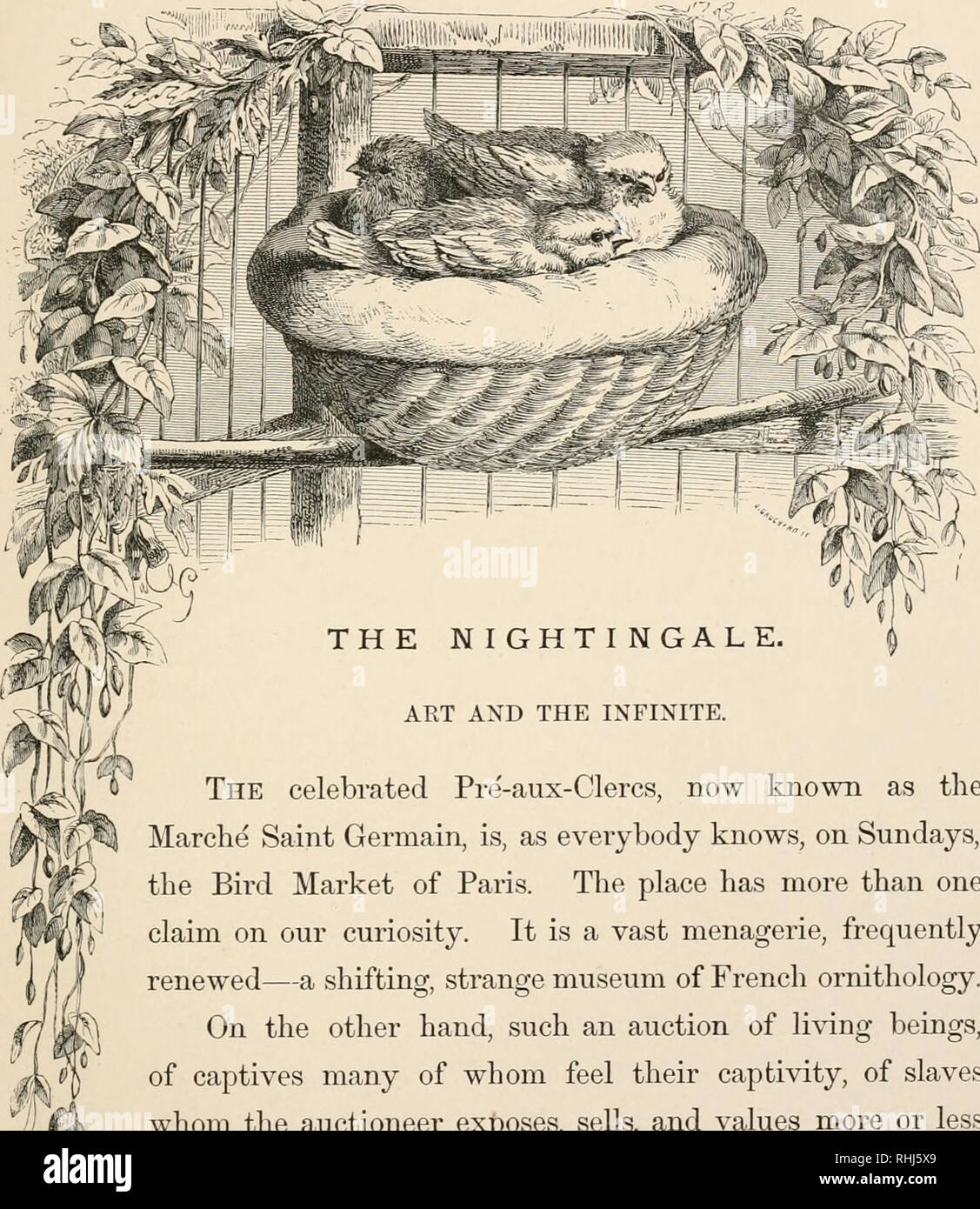 Human menagerie hi-res stock photography and images - Alamy