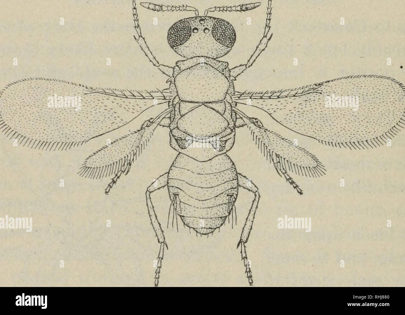 Enable identification hi-res stock photography and images - Alamy