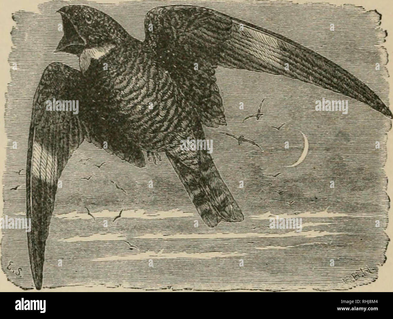Chuck will's widow at night hi-res stock photography and images - Alamy