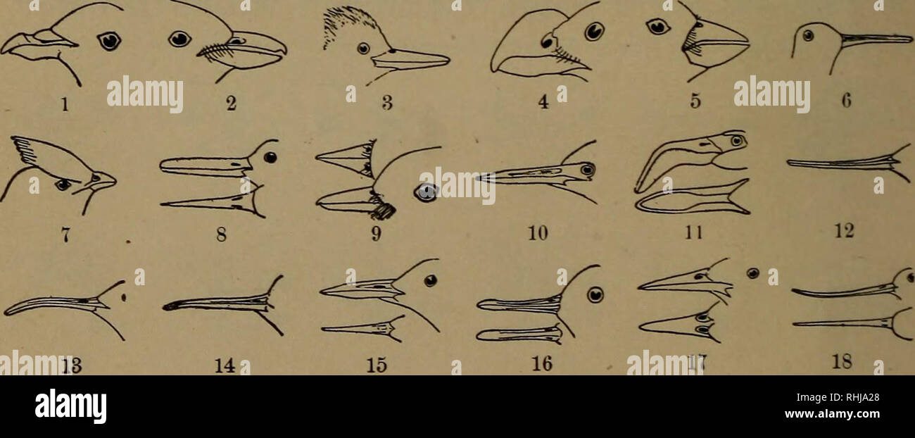 1 2 hand over mouth hi-res stock photography and images - Alamy