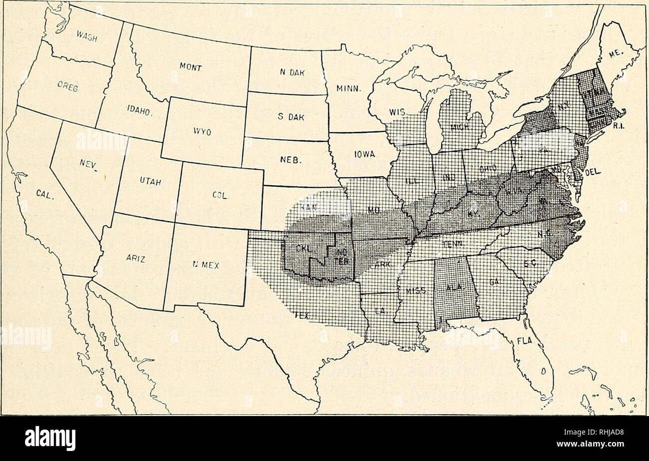 Alabama rot hi-res stock photography and images - Alamy