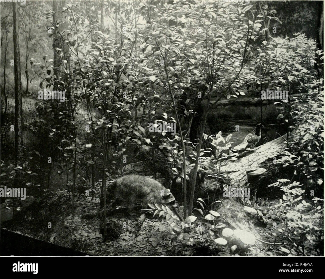 Muffled sounds hi-res stock photography and images - Alamy