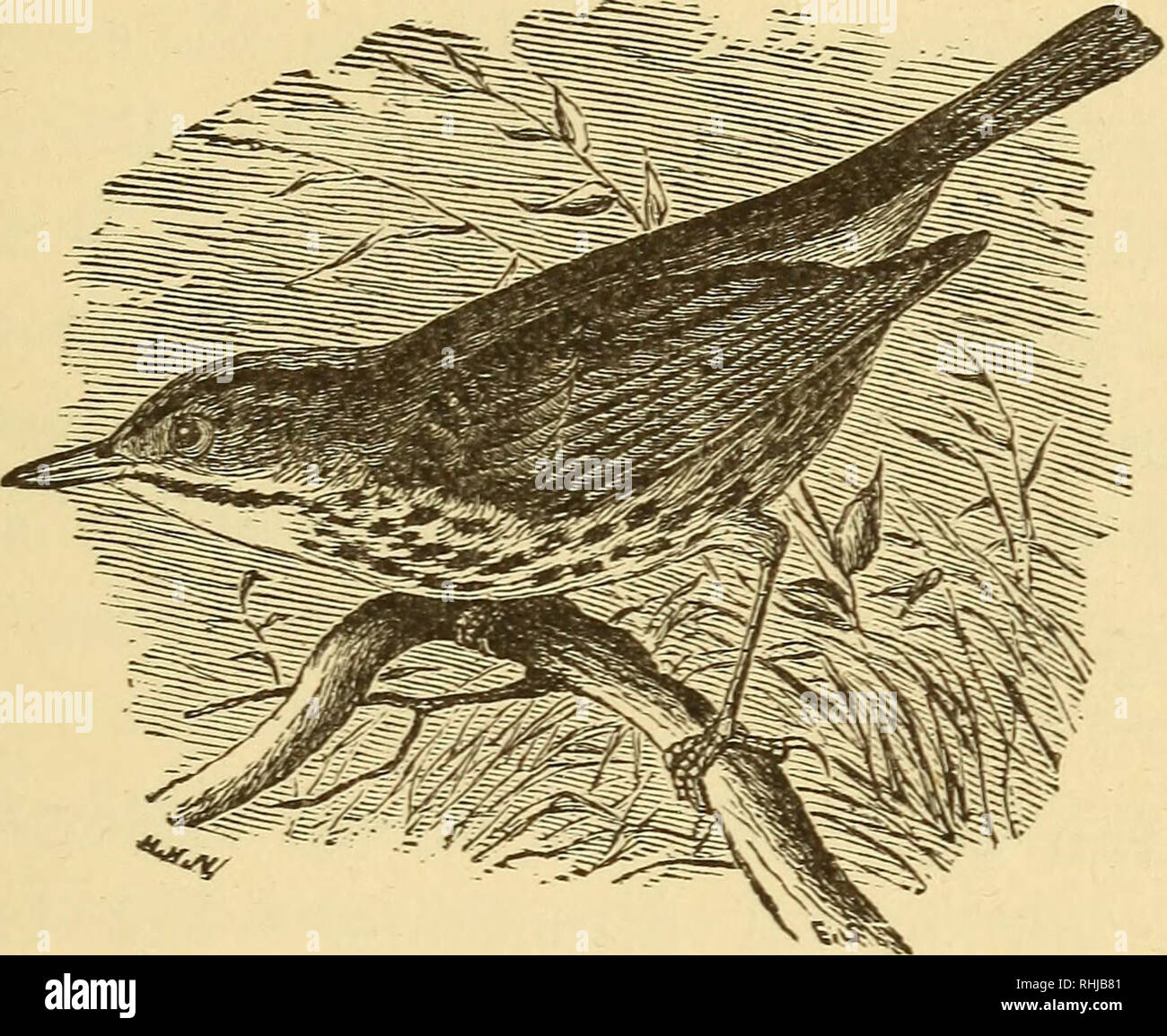 Always acted together hi-res stock photography and images - Alamy