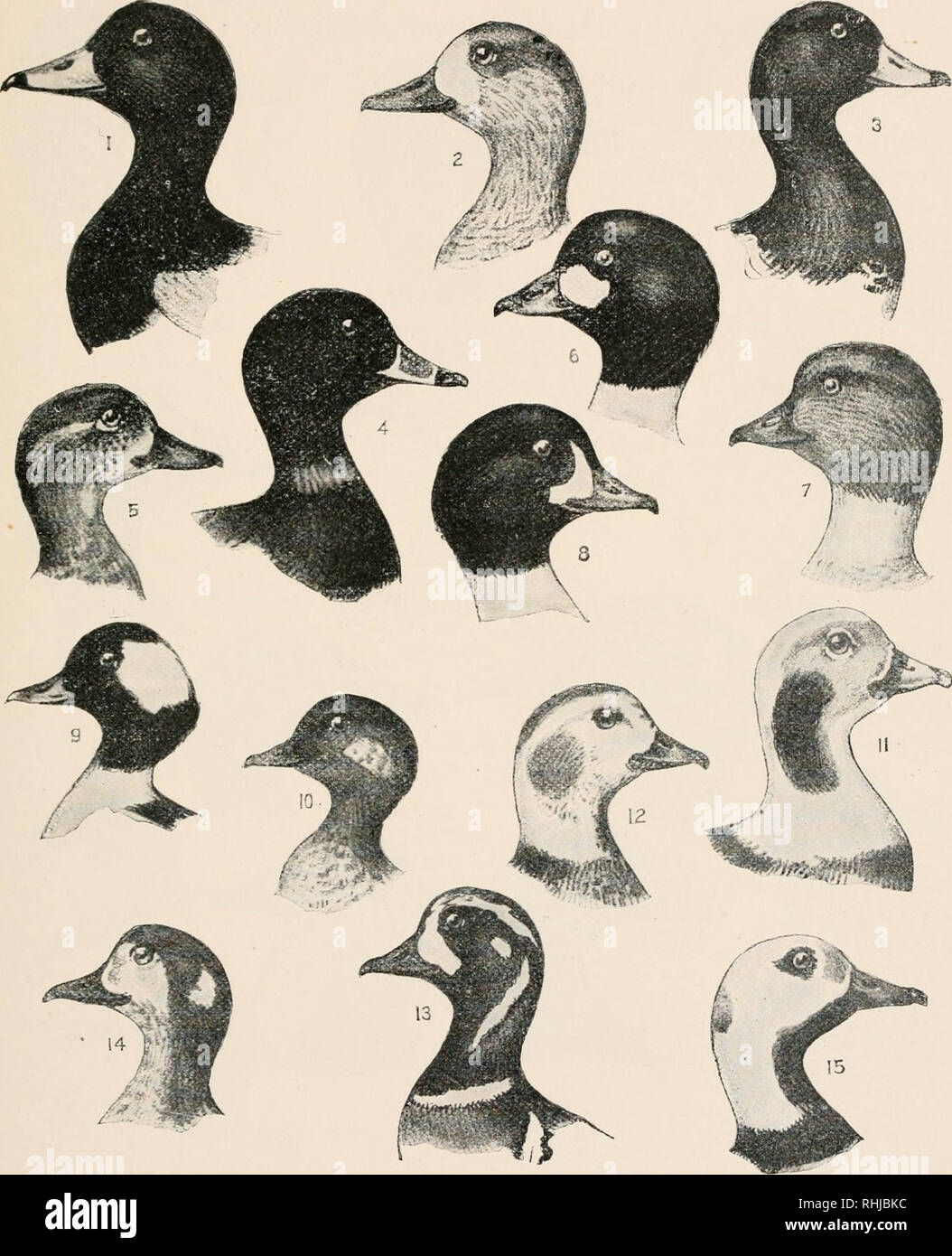 Meridian mall hi-res stock photography and images - Alamy