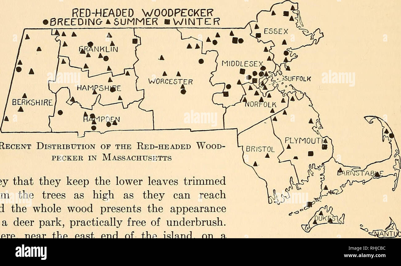 Naushon island hi-res stock photography and images - Alamy