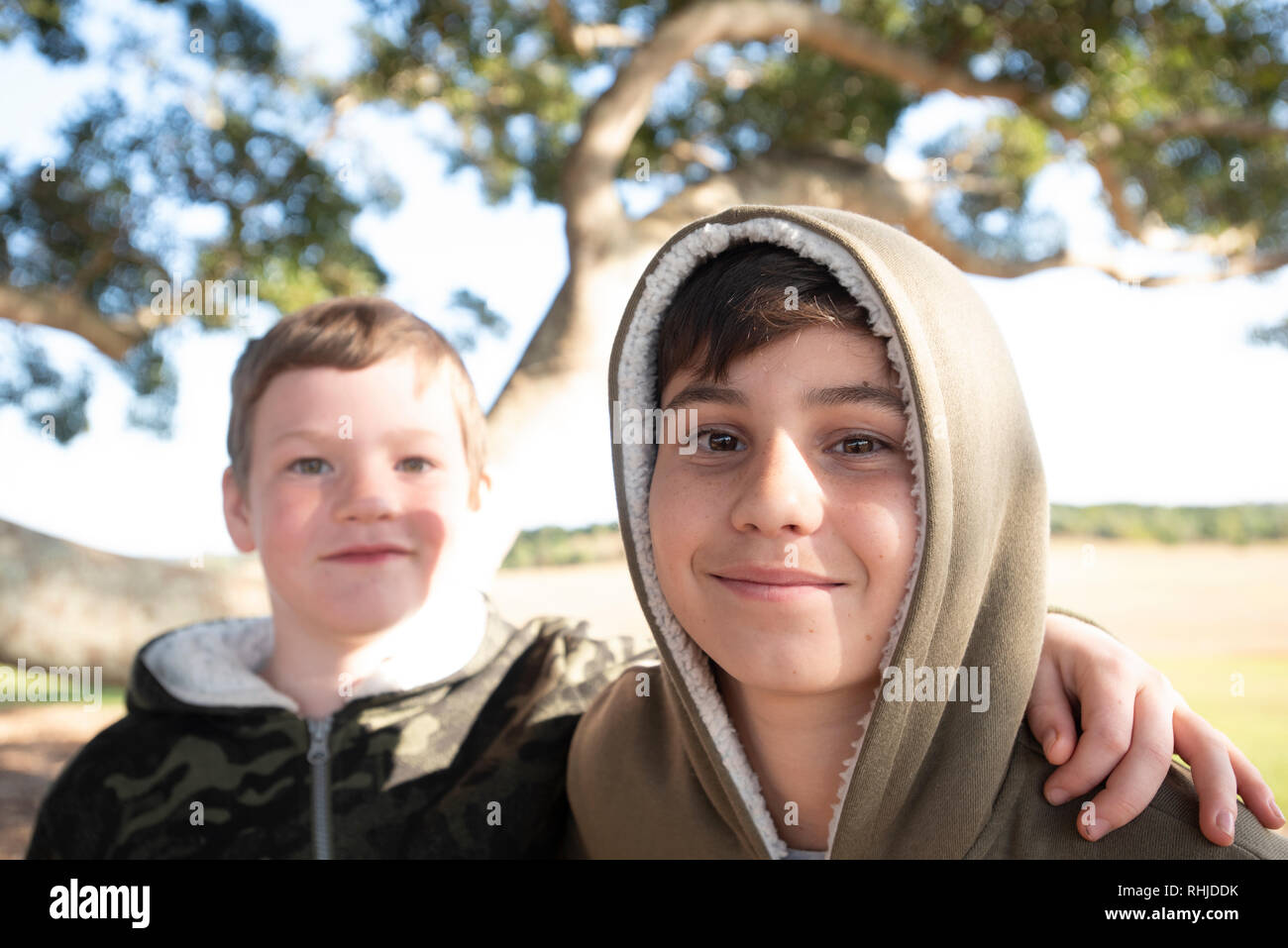 Two young boys under a tree, Wollongbar, New South Wales, Australia ...