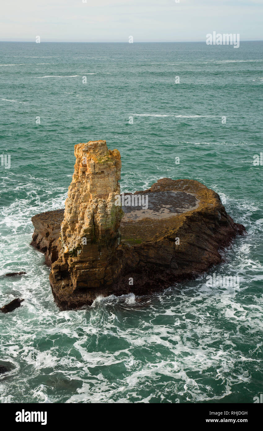 Coast Trail view, Point Arena-Stornetta Unit, California Coastal ...