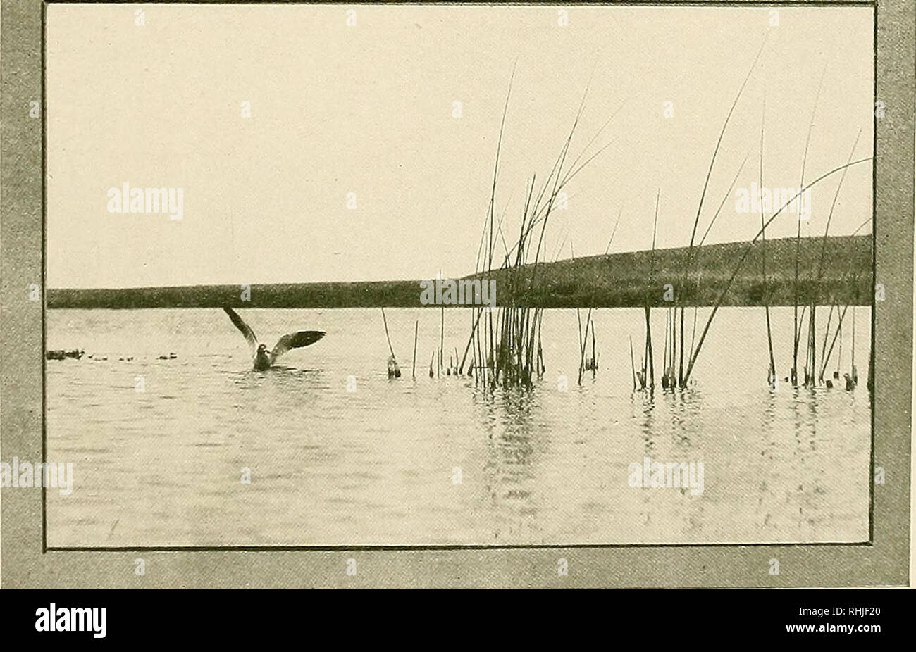 Din rails hi-res stock photography and images - Alamy