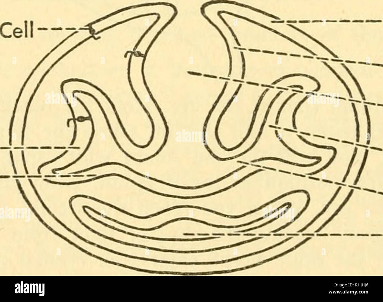 Visual sensitivity hi-res stock photography and images - Alamy