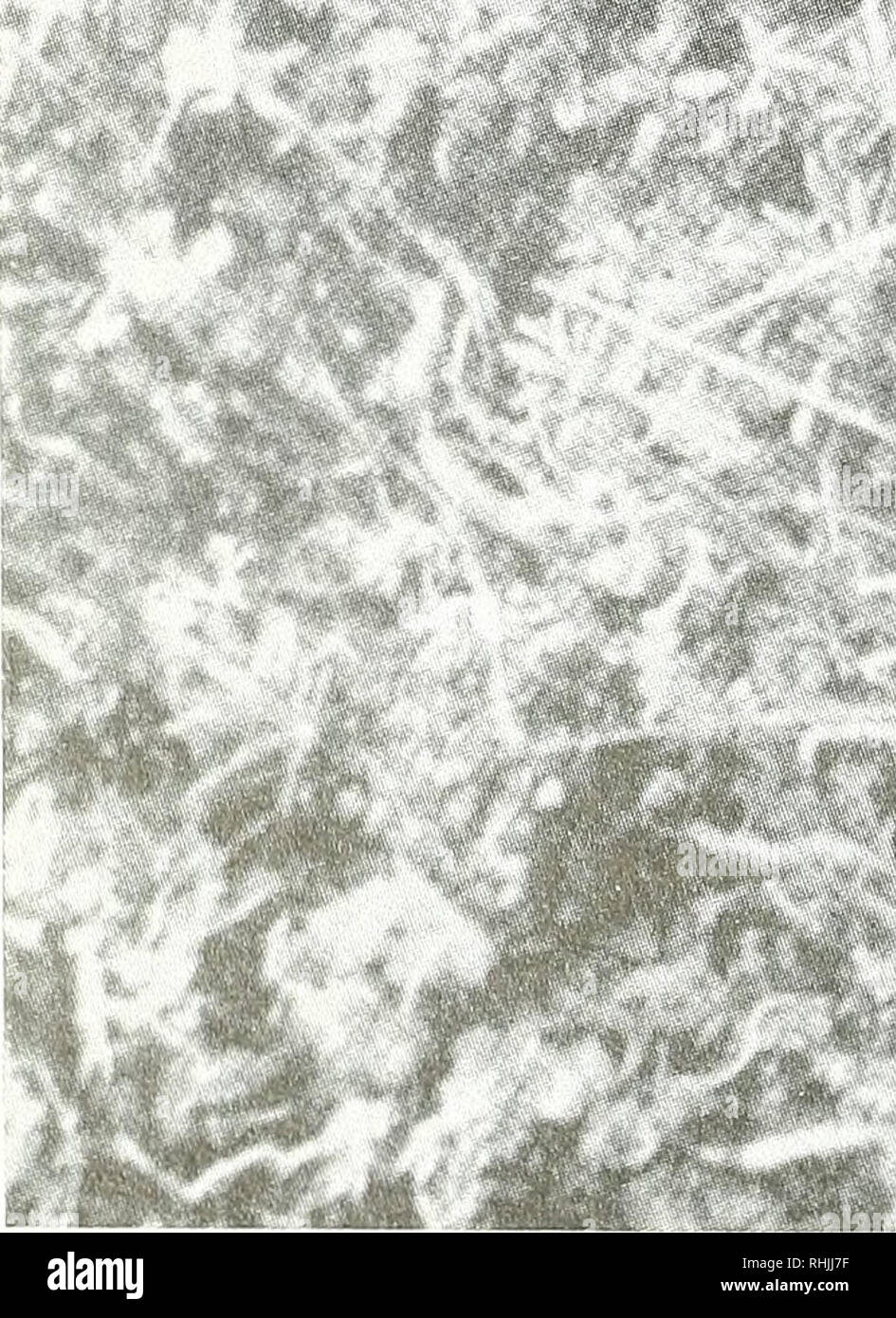 Amguema river hi-res stock photography and images - Alamy