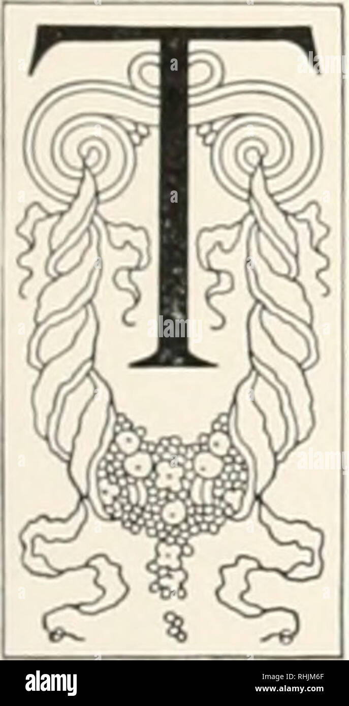 Cackling Hen High Resolution Stock Photography and Images - Alamy