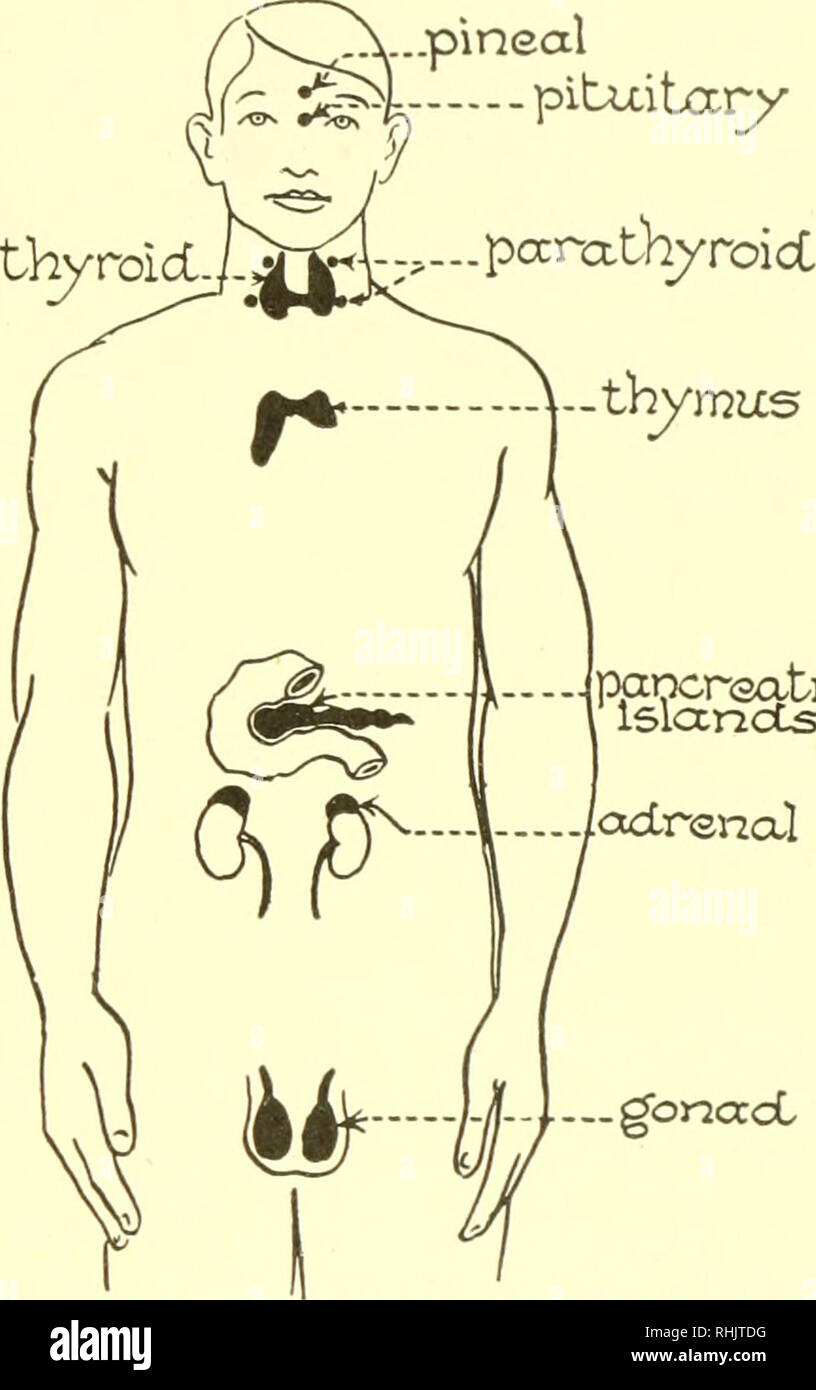 . Biology; the story of living things. CHEMICAL REGULATORS 303 ...
