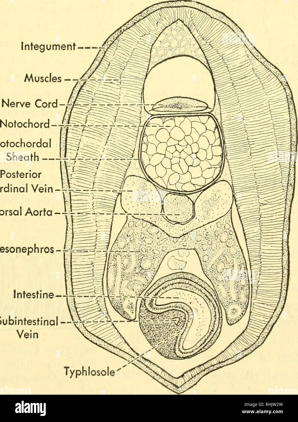 Universal adding hi-res stock photography and images - Alamy
