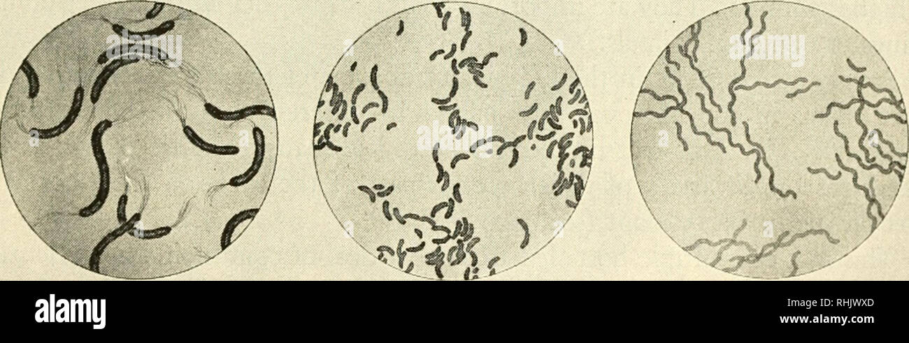 Museum cell biology hi-res stock photography and images - Alamy