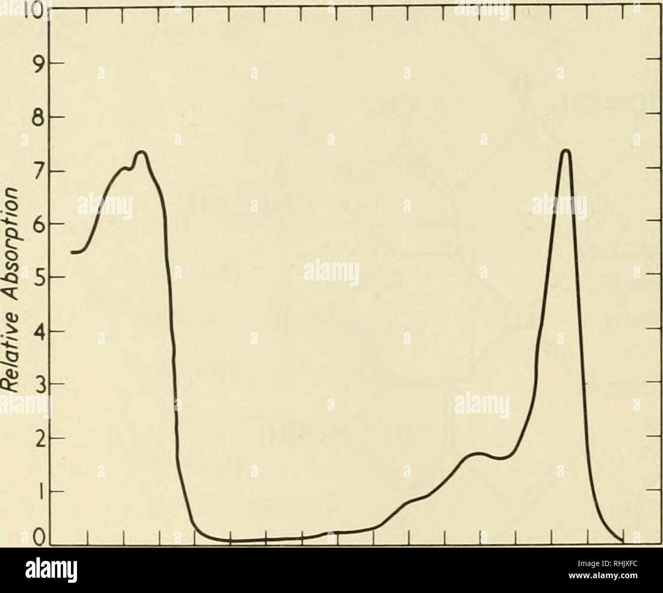 Photosynthetic Pigments Absorption Spectrum