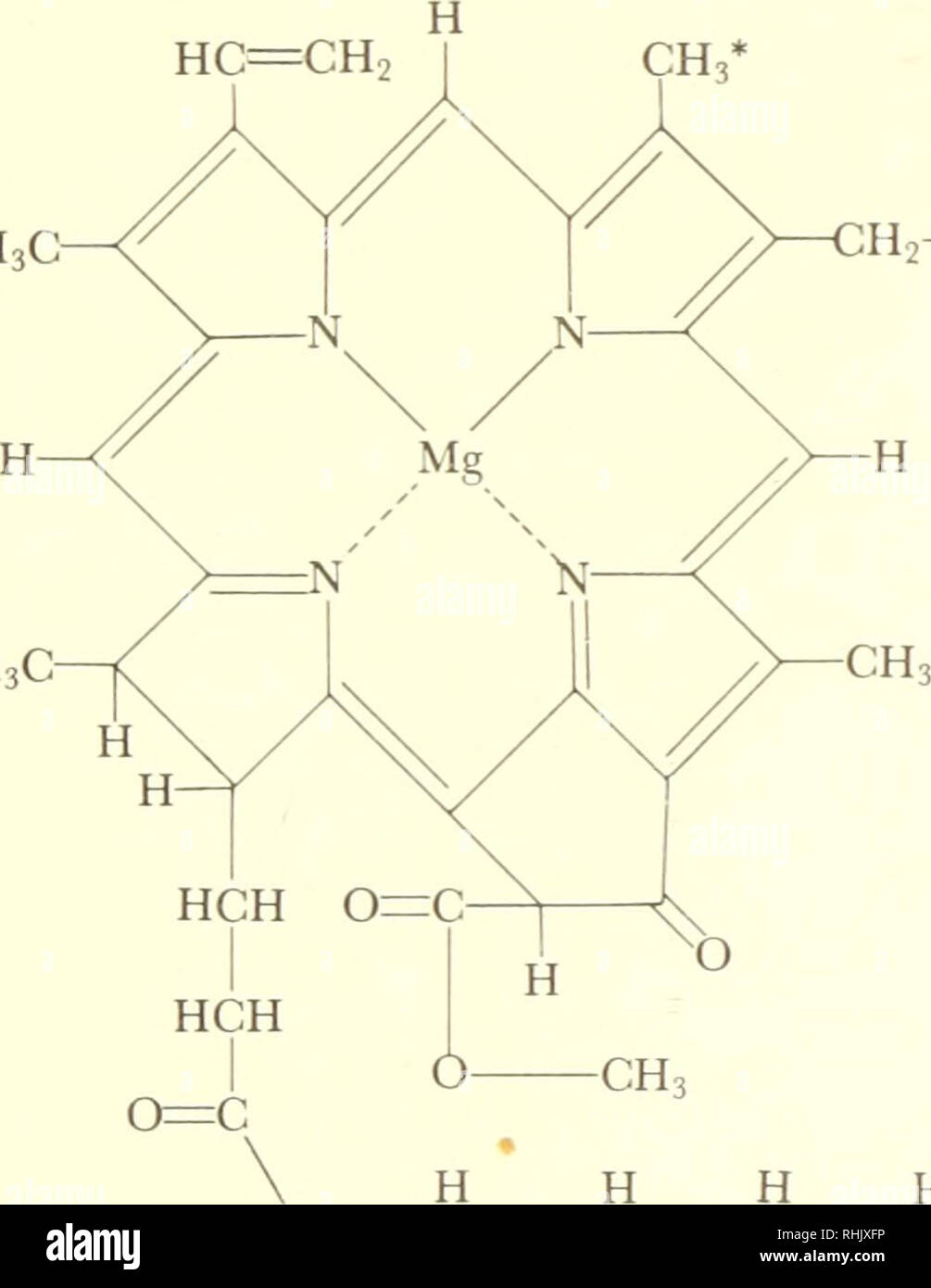 . Biophysical science. Biophysics. 20 : 5/ Photosynthesis 371 all ...