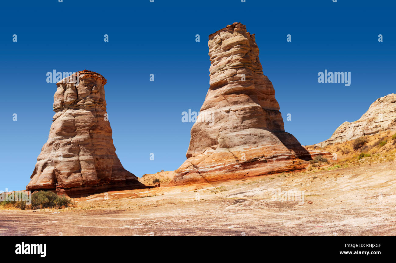 Elephant feet arizona hi-res stock photography and images - Alamy