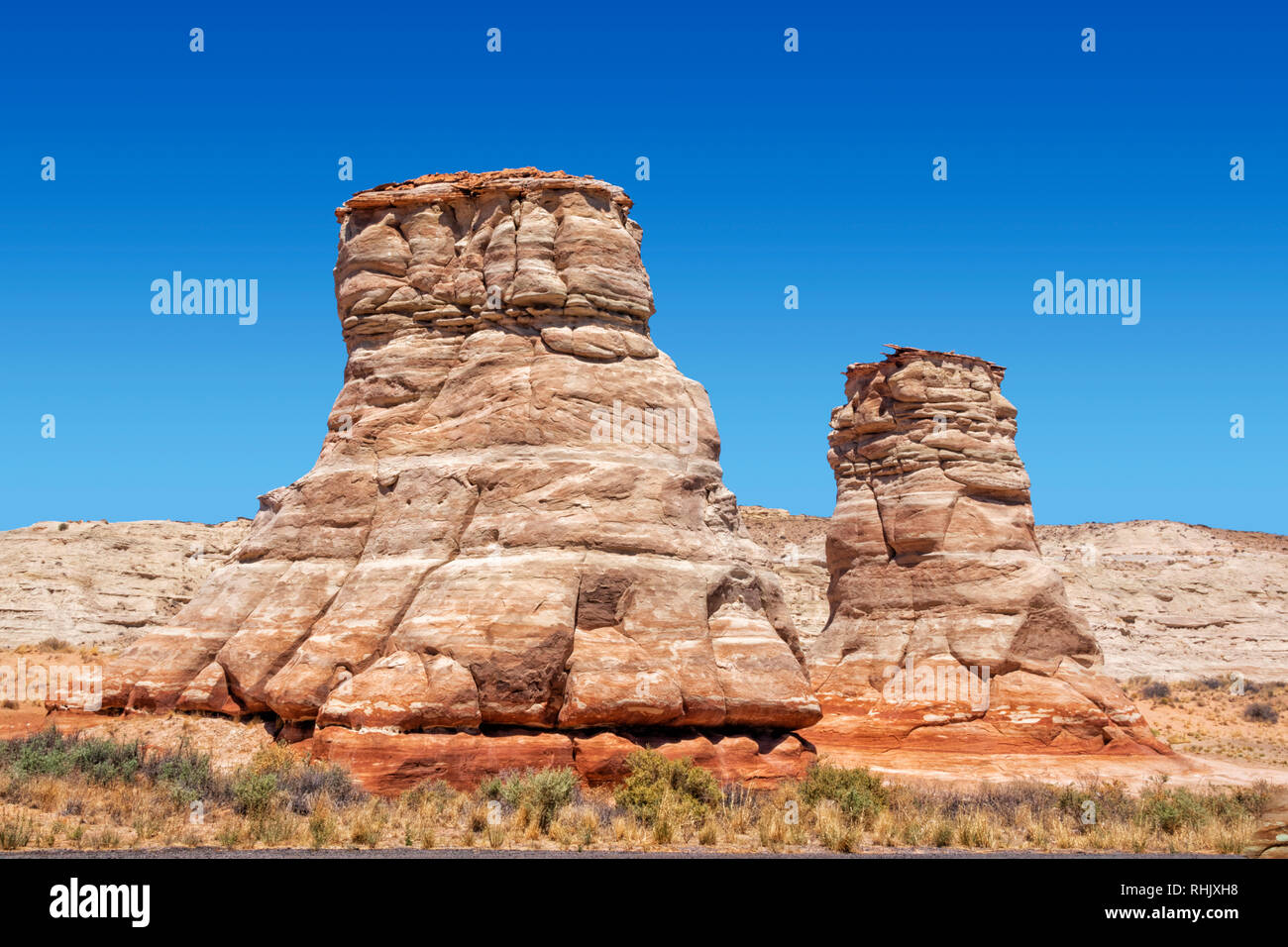 Elephant feet arizona hi-res stock photography and images - Alamy