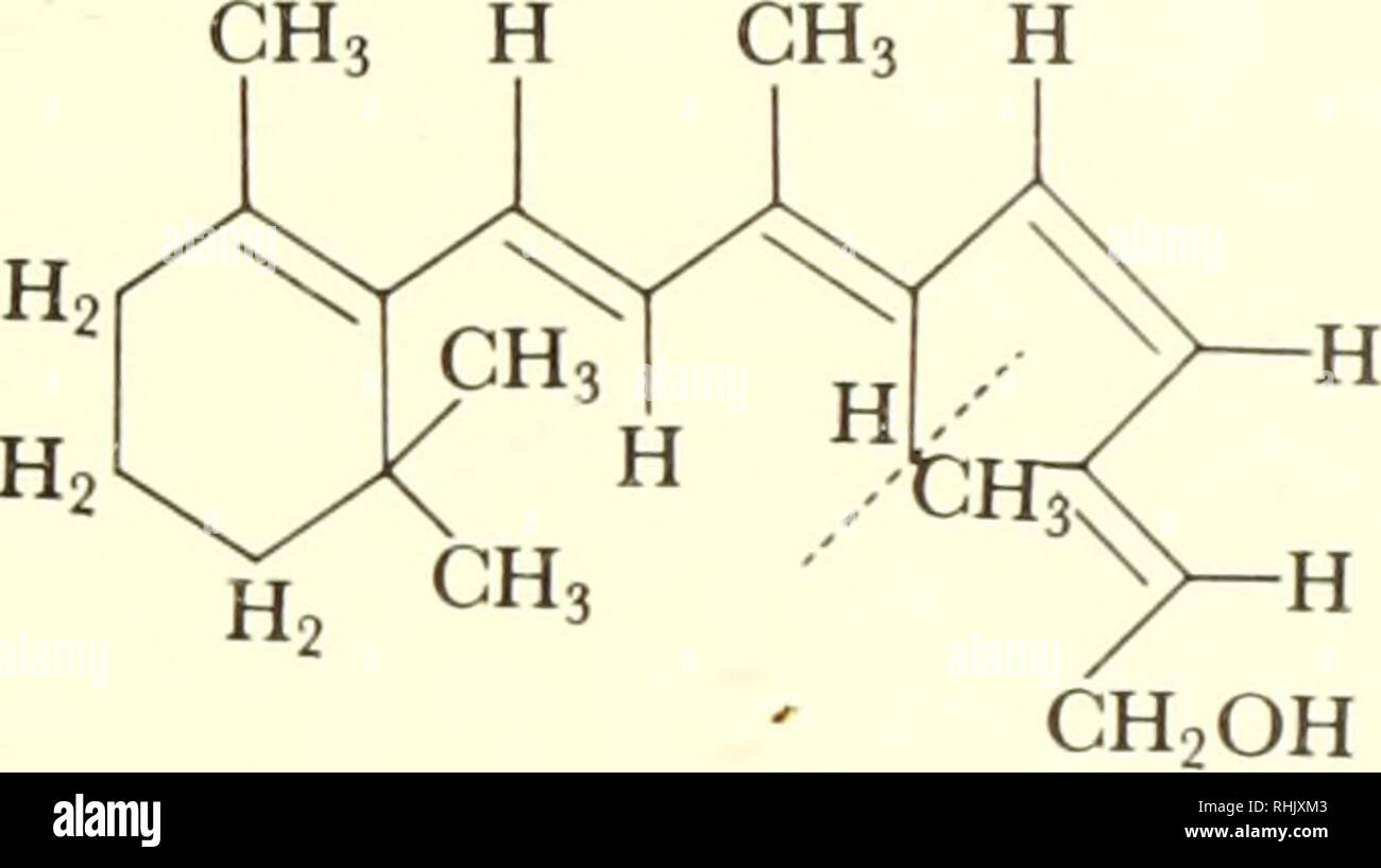 . Biophysical science. Biophysics. 19 : 2/ Molecular Basis of Vision ...