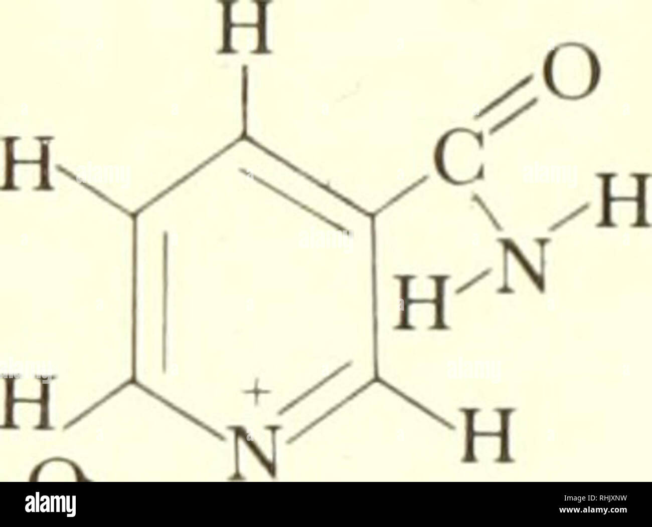 . Biophysical science. Biophysics. 18:4/ Enzymes: Kinetics of ...