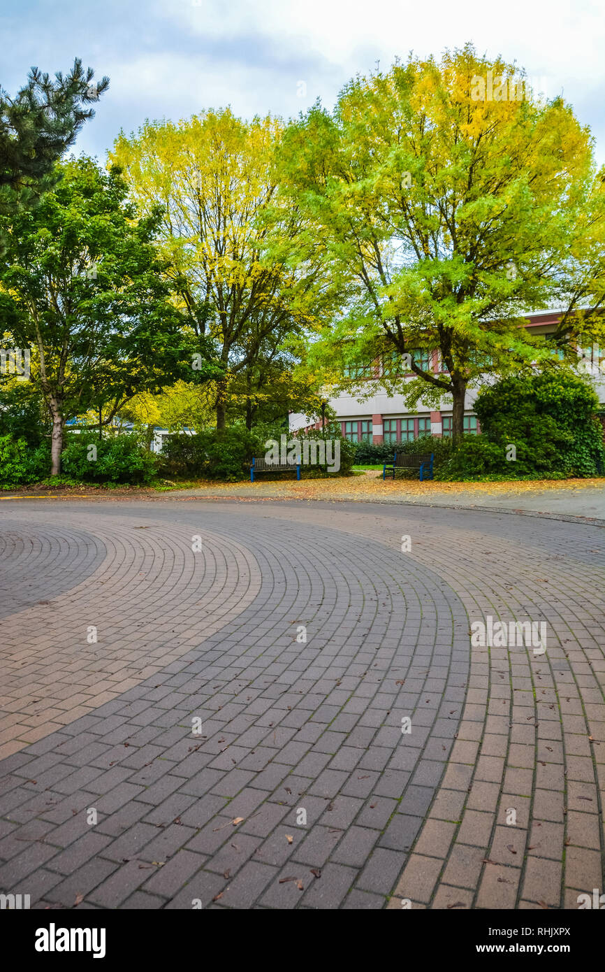 Driveway under trees hi-res stock photography and images - Alamy
