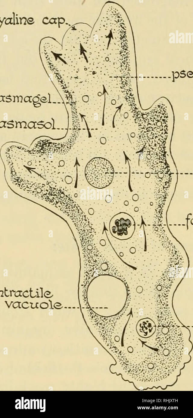 Classic story o hi-res stock photography and images - Alamy