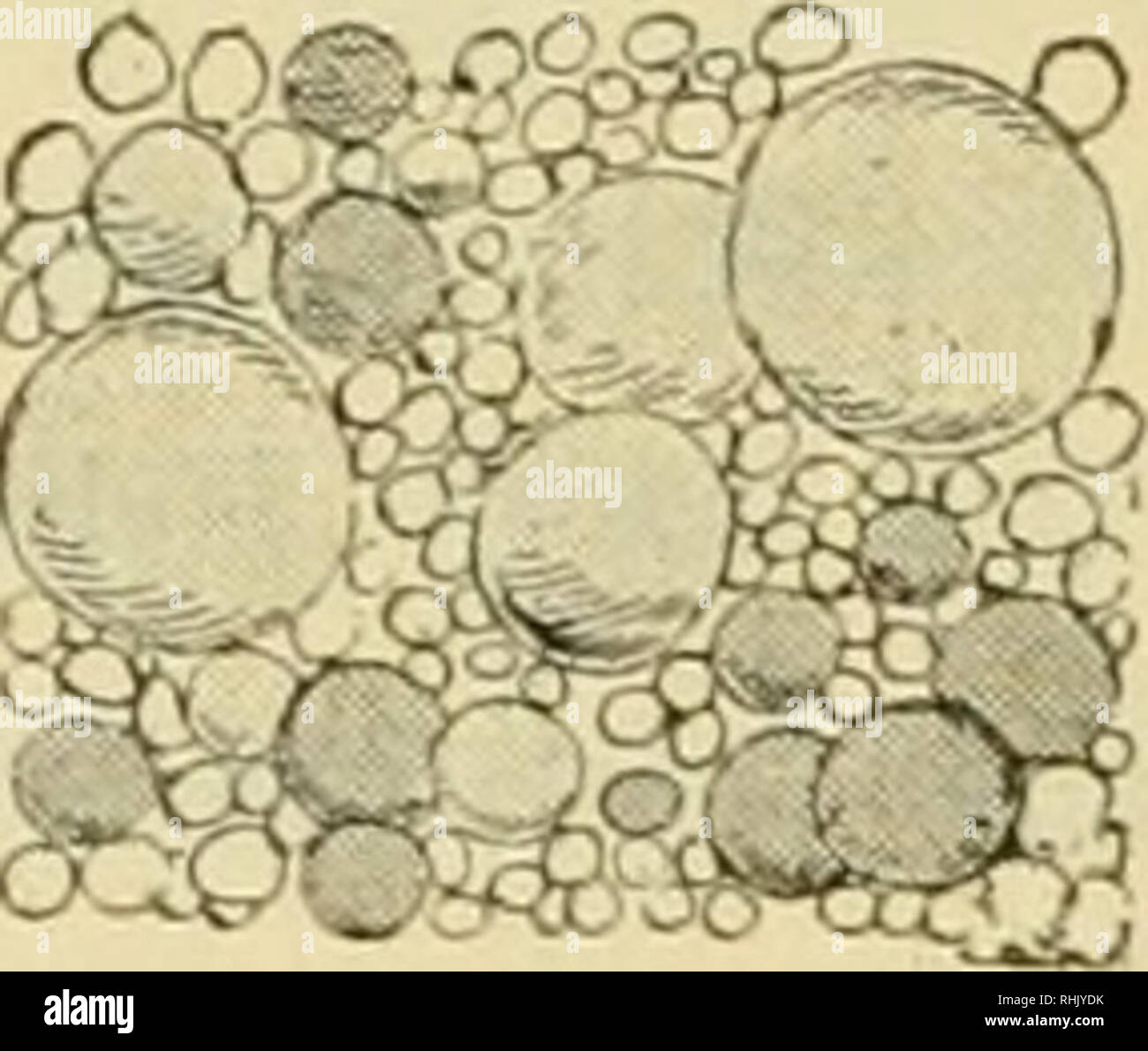 Robert hooke cell hi-res stock photography and images - Alamy