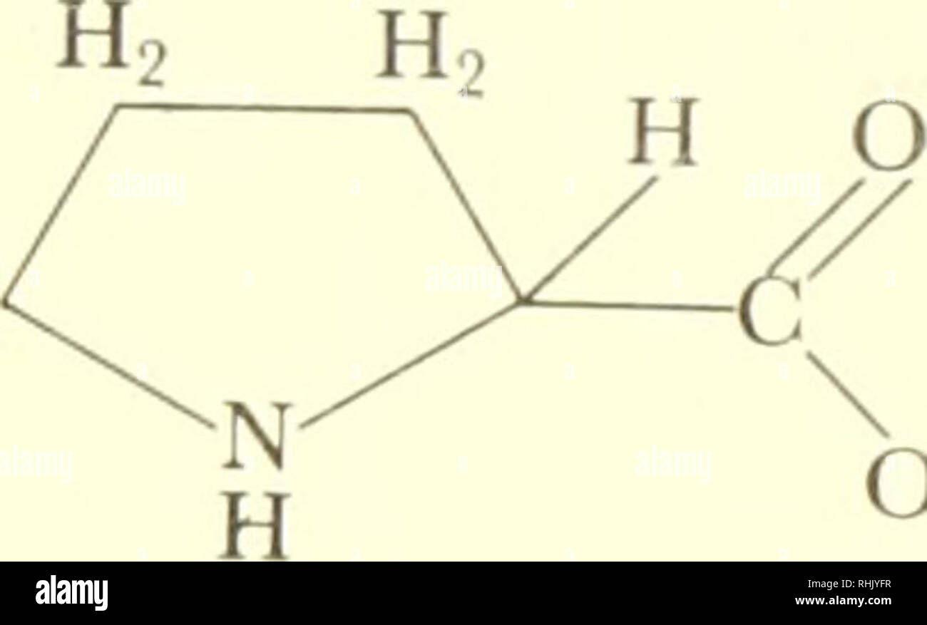 Hydroxyproline hi-res stock photography and images - Alamy