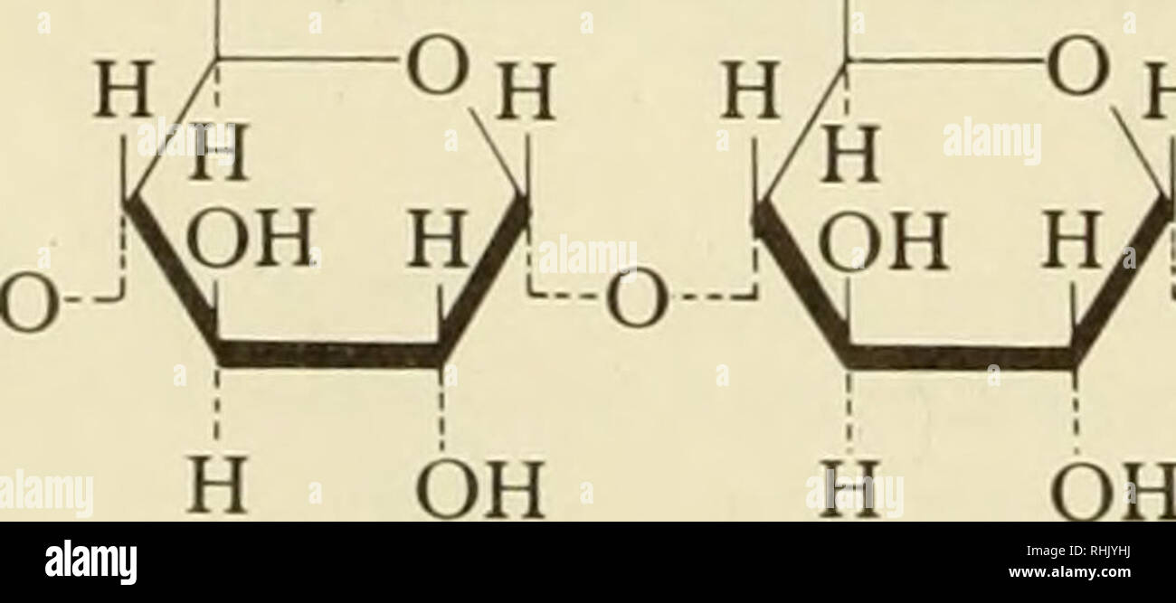 Ch2ohch2oh Structure