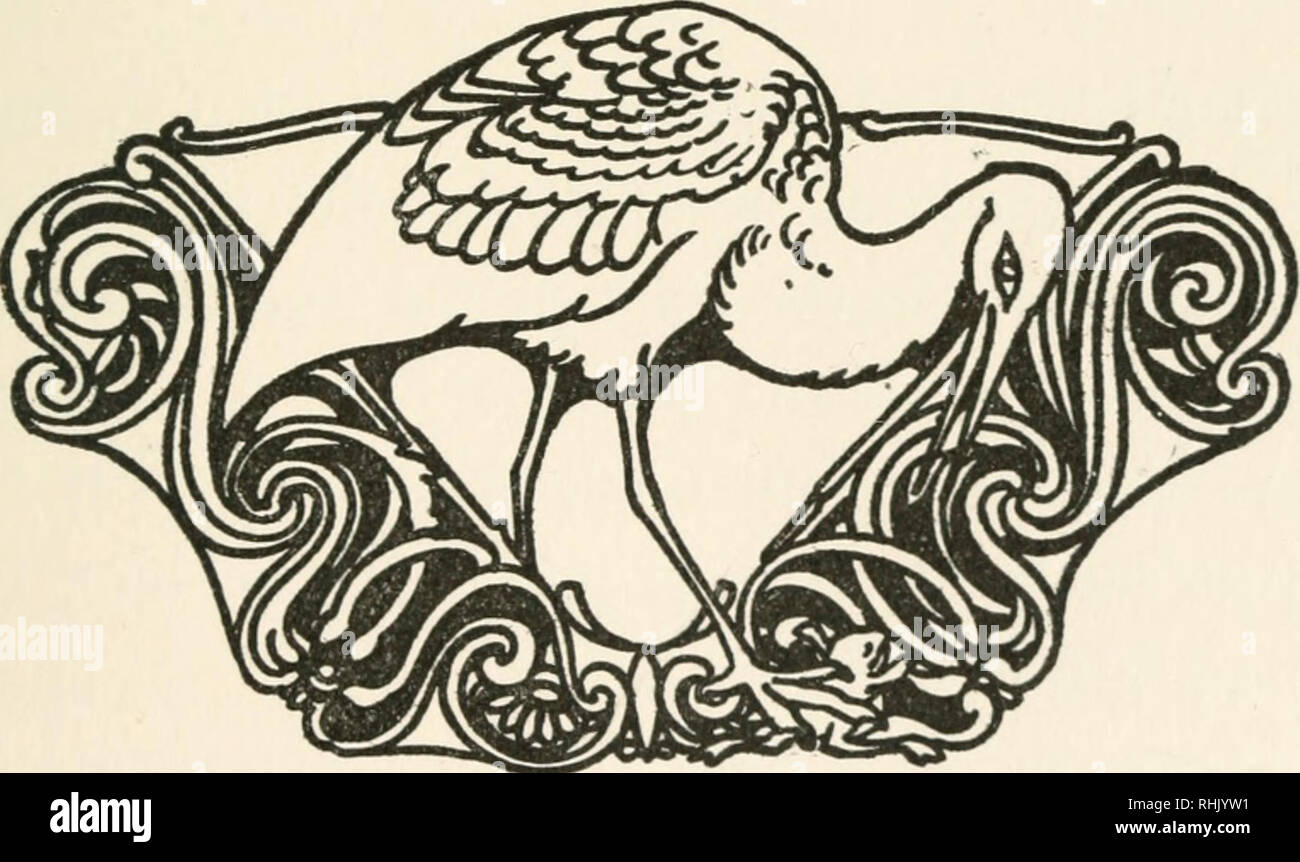 . Bird gods. Animal worship; Birds -- Folklore. Bird Gods in Ancient ...